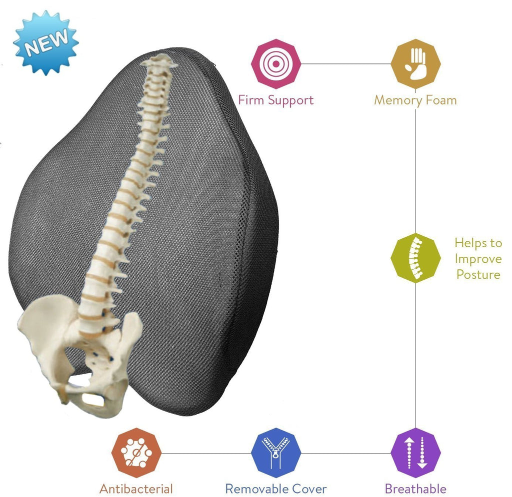 Medipaq® Contoured Back & Lumbar Support Cushion – OrthoCushion